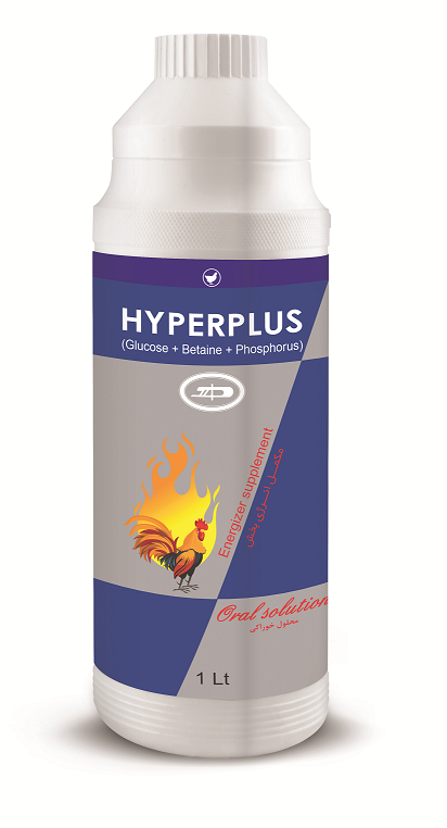 گلوکز+بتائین+فسفر – شرکت تولید داروهای دامی ایران